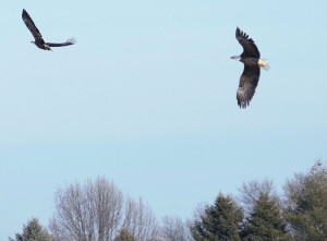 Small City Big Heart - Braham, MN - Life In Minnesota