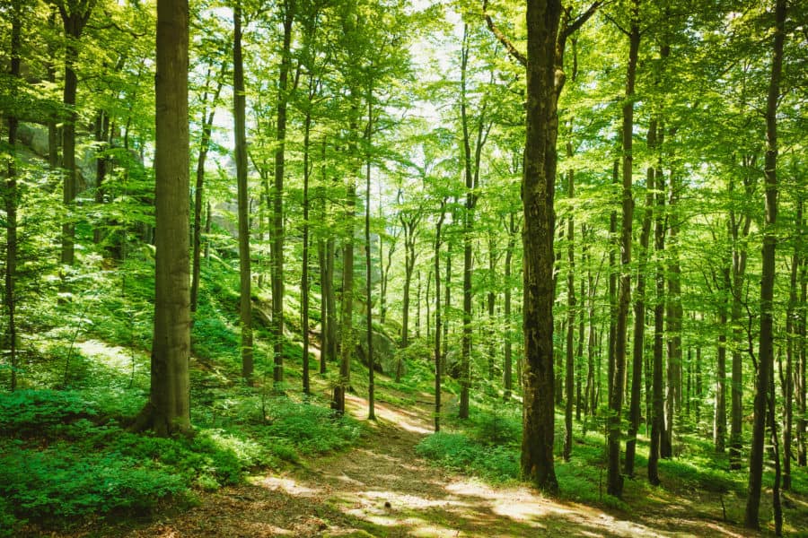 22 Fun Things To Do In Red Wing MN - Life In Minnesota