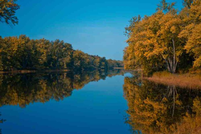 The 14 Best Things To Do in Maple Grove MN