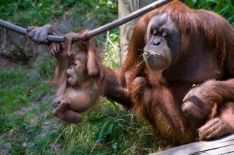 Life In Minnesota 12 of the Best Things To Do In Farmington Minnesota ...