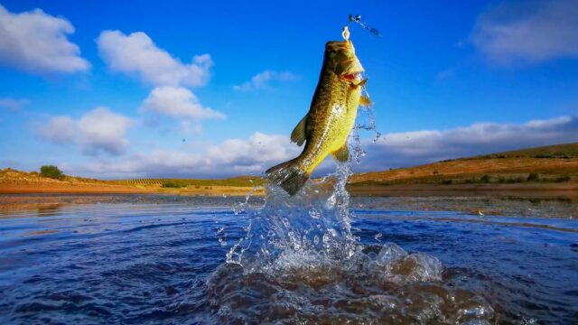 Life In Minnesota The Complete Boundary Waters Fishing Guide https ...