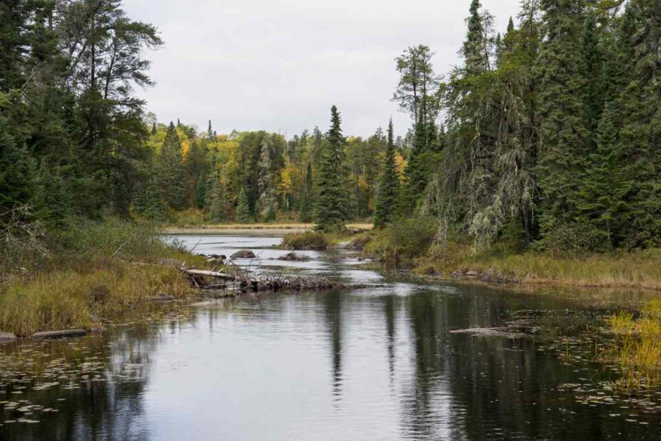 Life In Minnesota The Complete Boundary Waters Fishing Guide https ...