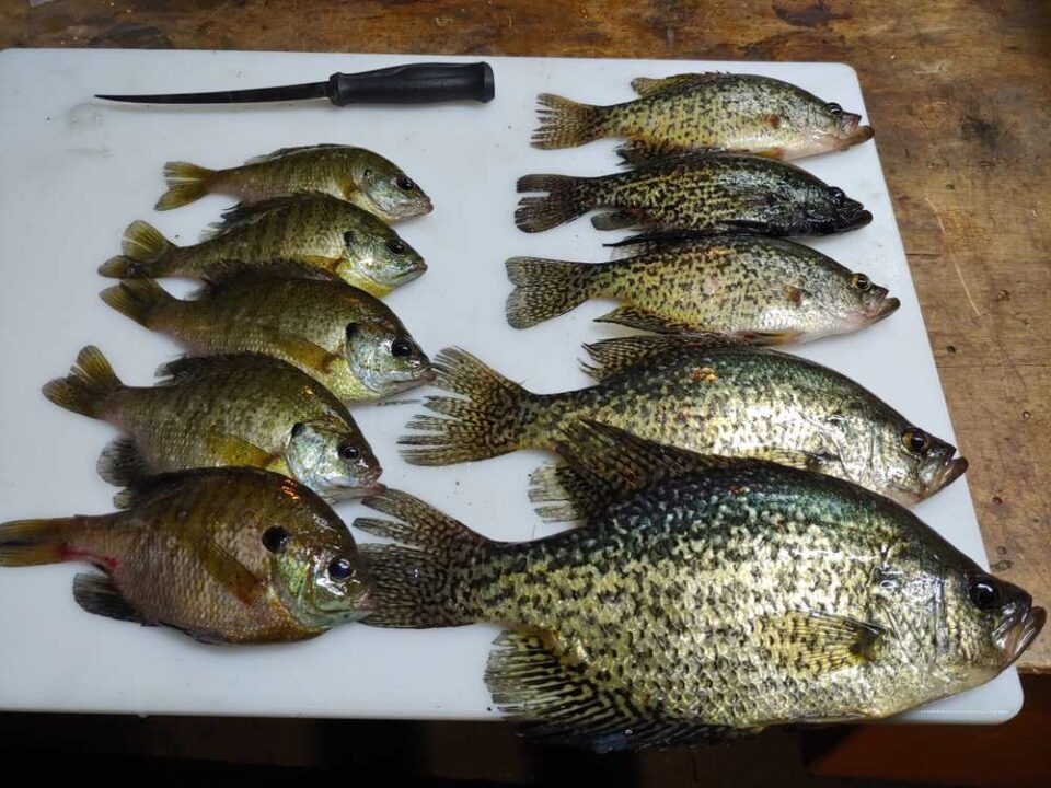 Life In Minnesota The 23 Best Panfish Lakes in Minnesota https://www ...