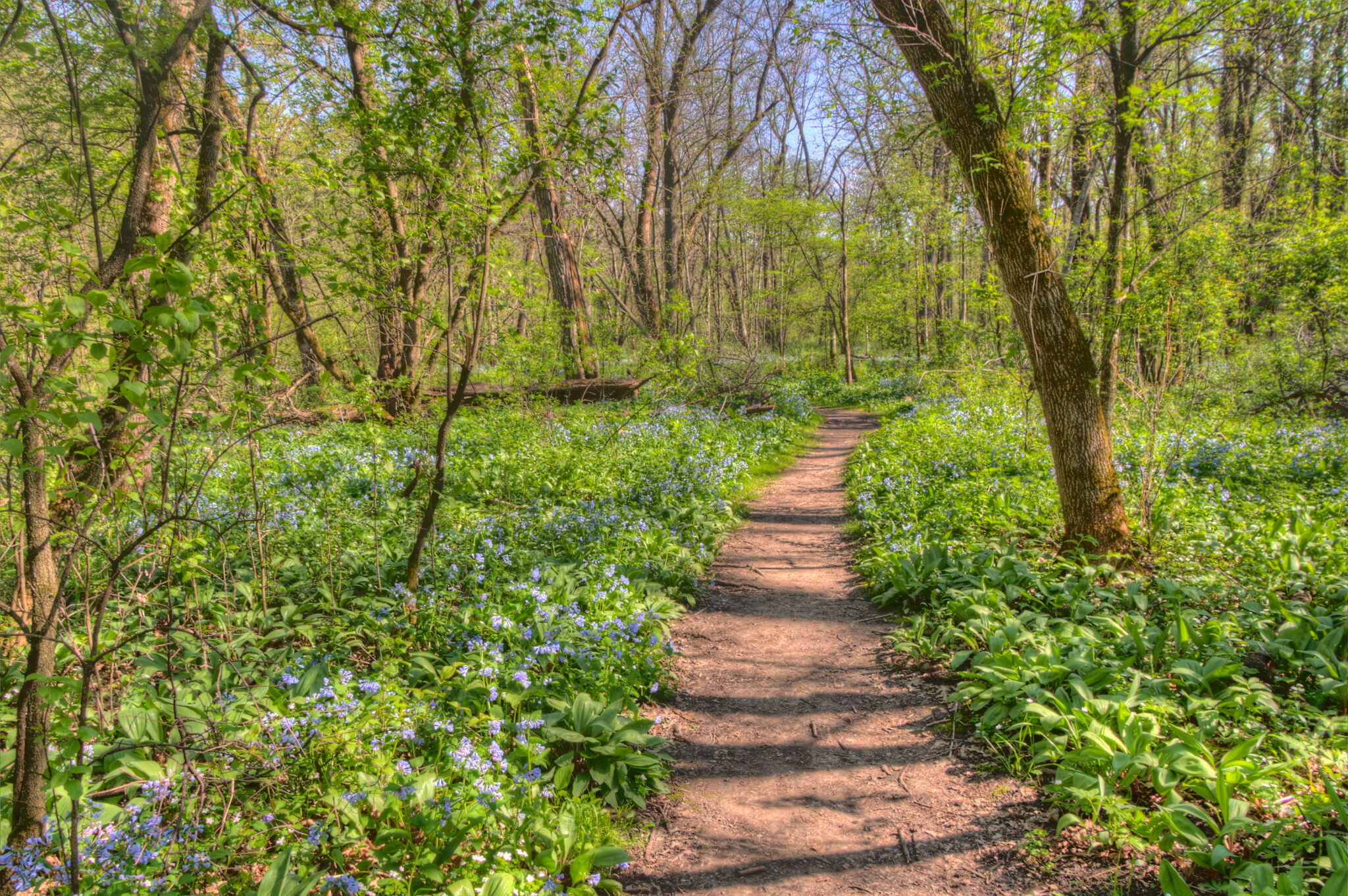 Carley State Park Visitor's Guide