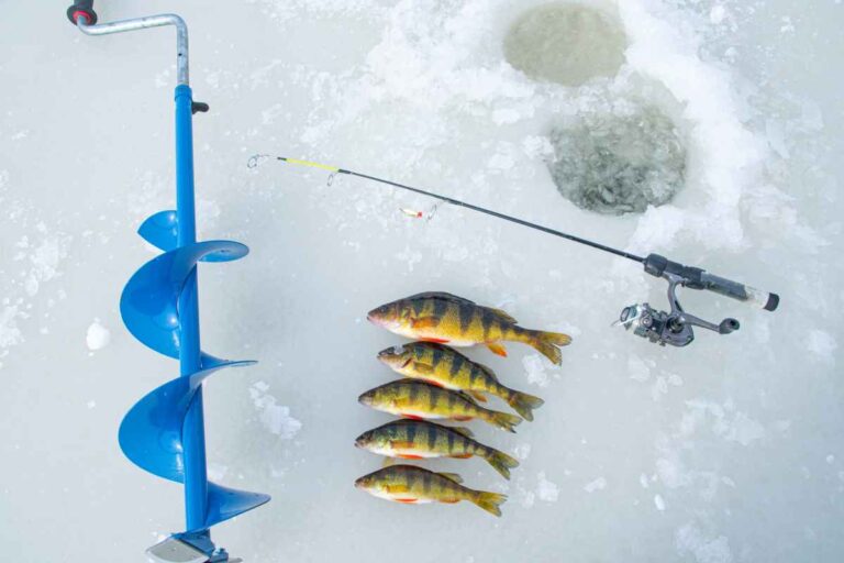 The Best Perch Ice Fishing in Minnesota: Top 11 Spots