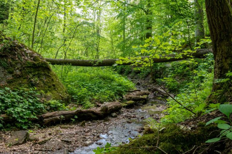 Visitor's Guide to Fort Snelling State Park