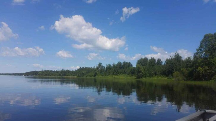 The Complete Visitor's Guide to Lake Vermilion