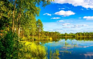 The Complete Visitor's Guide to Sakatah Lake State Park