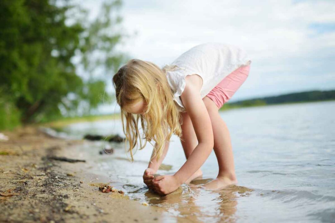 The Complete Visitor's Guide to Scenic State Park