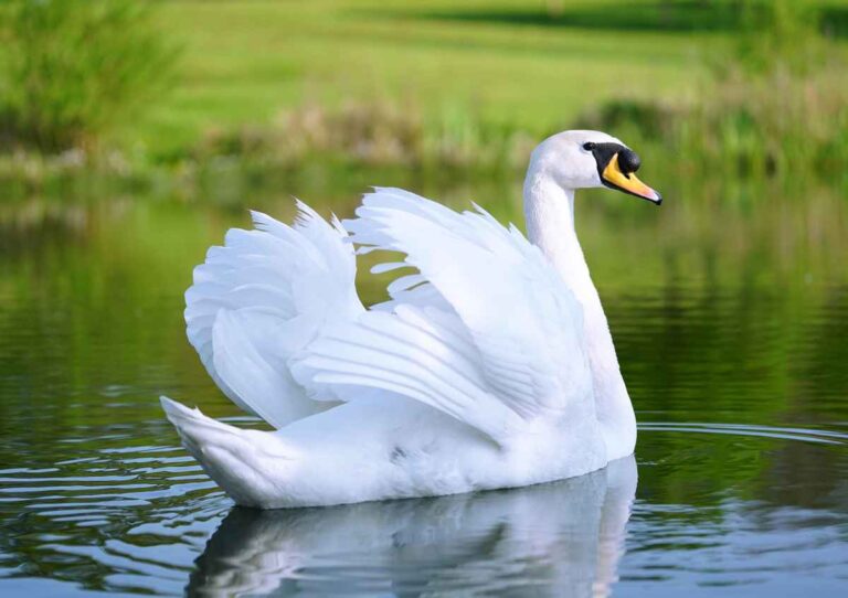 The Complete Visitor's Guide to Lake Maria State Park
