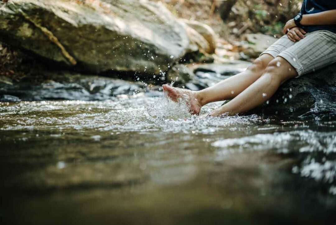 The Definitive Visitor's Guide to Myre Big Island State Park