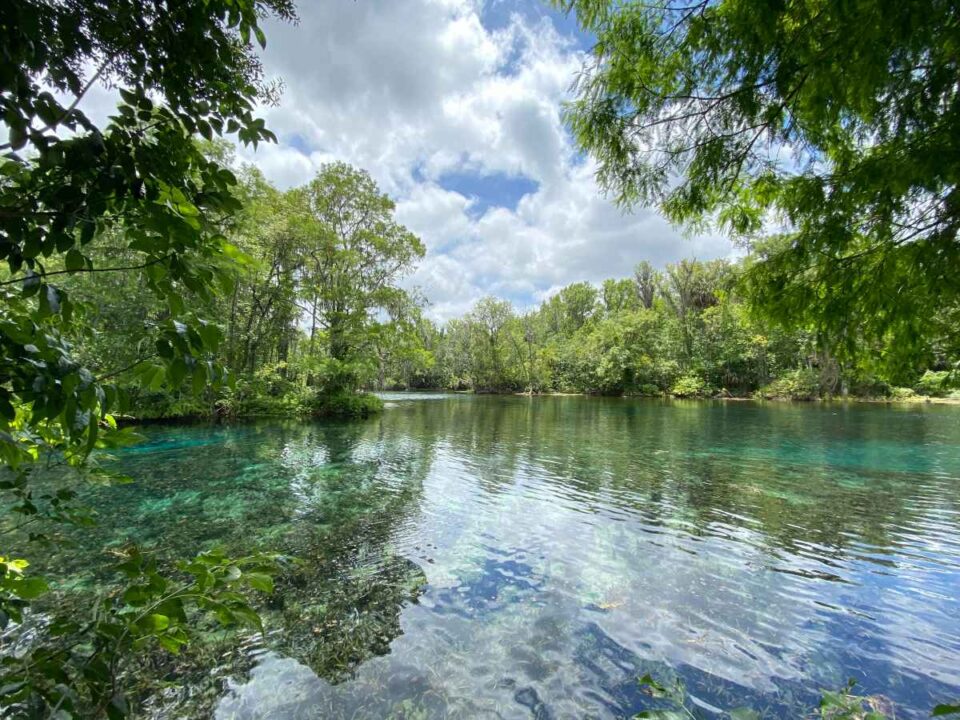 The Comprehensive Visitor's Guide to Red River State Recreation Area