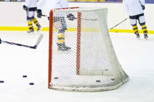 The Best Synthetic Ice For 2024: Our Top 5 Picks - Life In Minnesota
