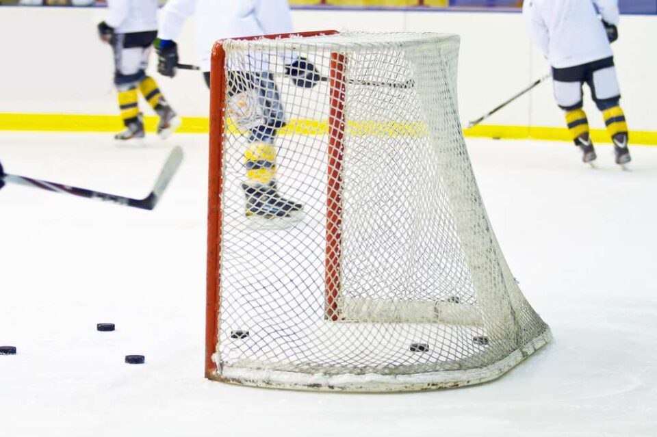 The Best Synthetic Ice For 2024: Our Top 5 Picks - Life In Minnesota