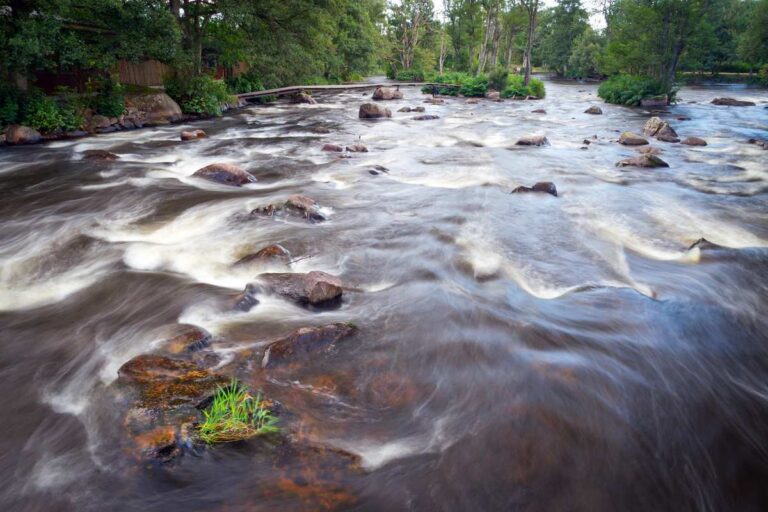 Trout Fishing In Minnesota: The Complete Beginner's Guide