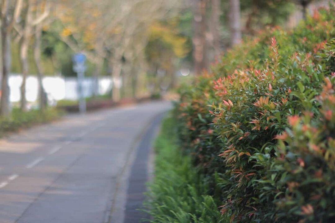 The Best Minneapolis Bike Trails: A Guide to Exploring the City on Two ...