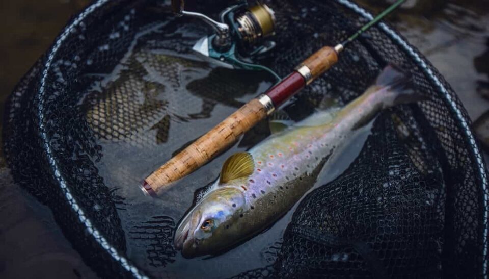 The Complete Winter Trout Fishing Guide - Life In Minnesota