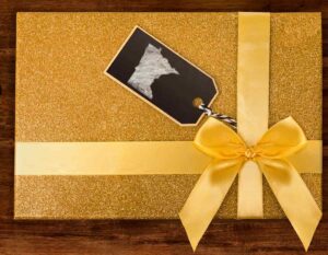 10 Must-Have Minnesota Gifts: A Comprehensive Guide for Locals and ...