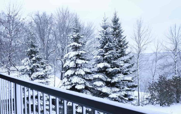 18 Dreamy Winter Getaways in Minnesota for Every Traveler - Life In ...