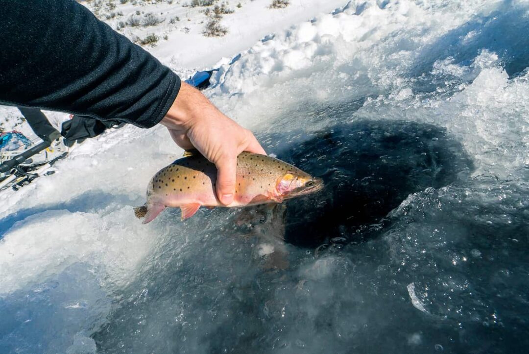 15 Winter Activities in Minnesota to Try This Season - Life In Minnesota